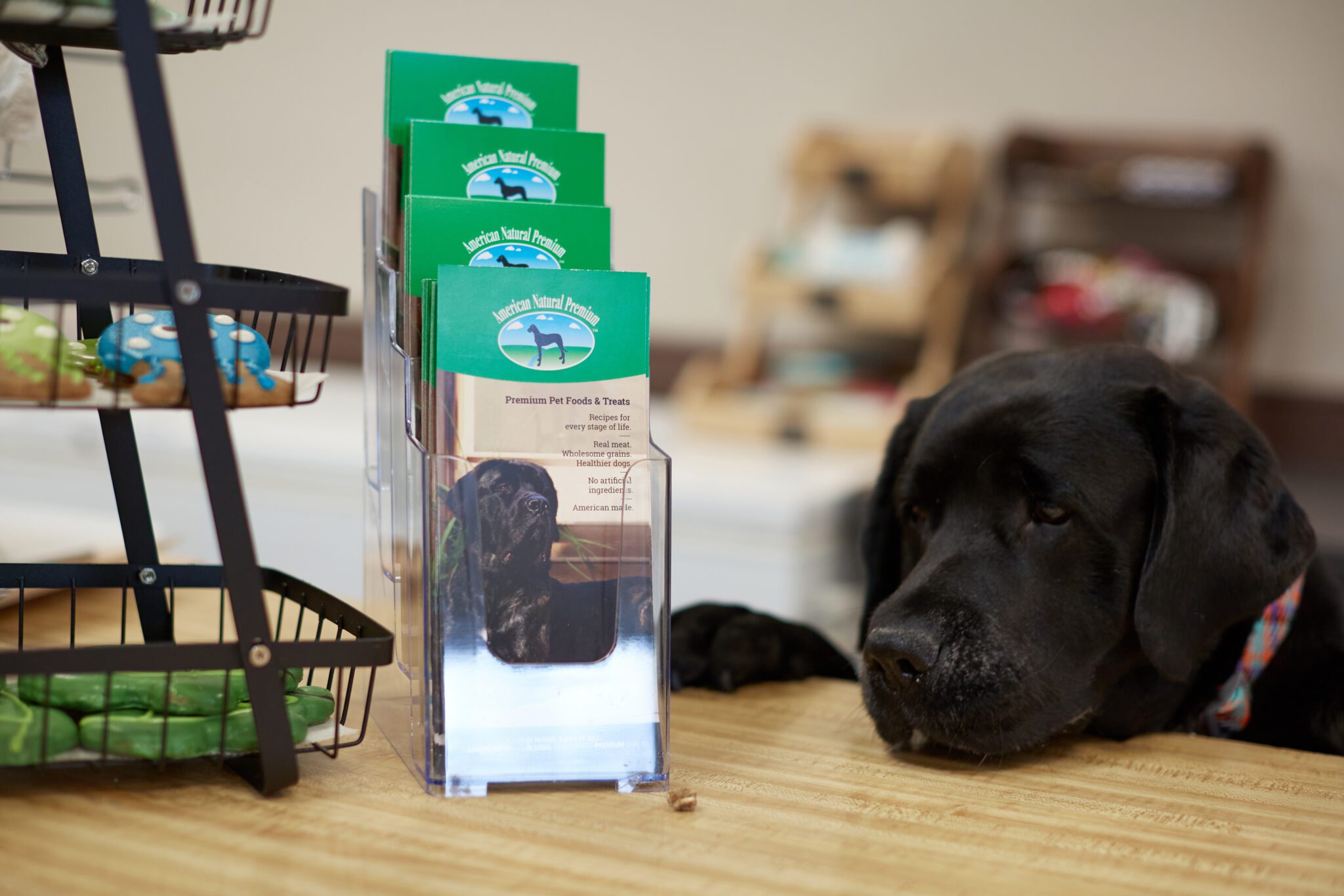 Boost Sales with Print Marketing | PostNet Local Marketing